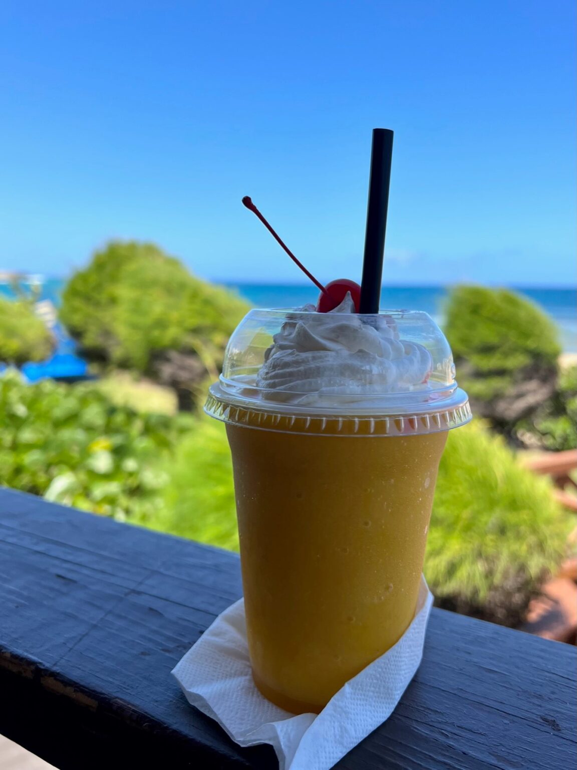 Best Hotel for Families in Puerto Rico: The Hidden Gem You Need to Know ...