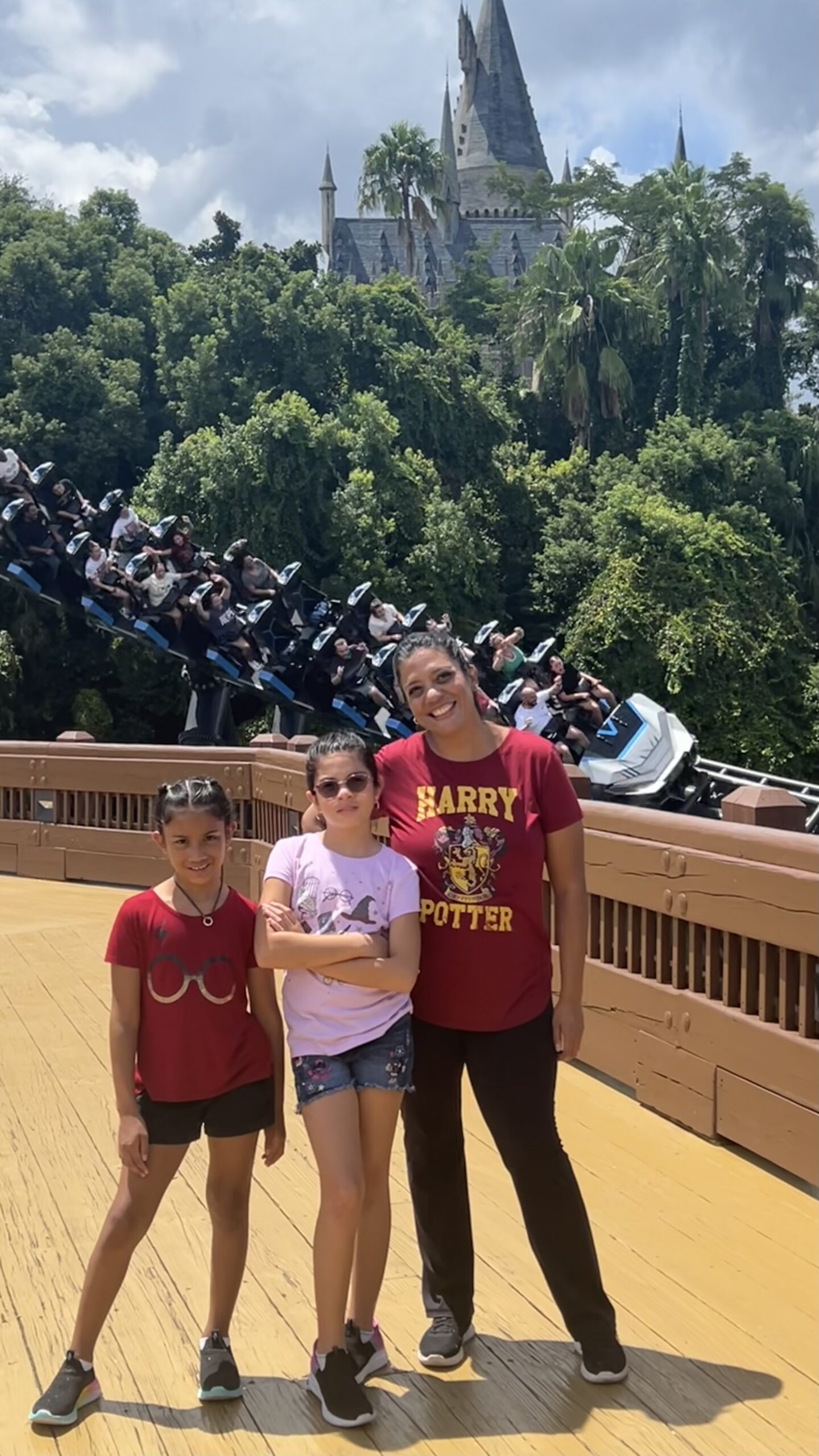 Ultimate Guide to the Wizarding World of Harry Potter | THIS MOM IS ...