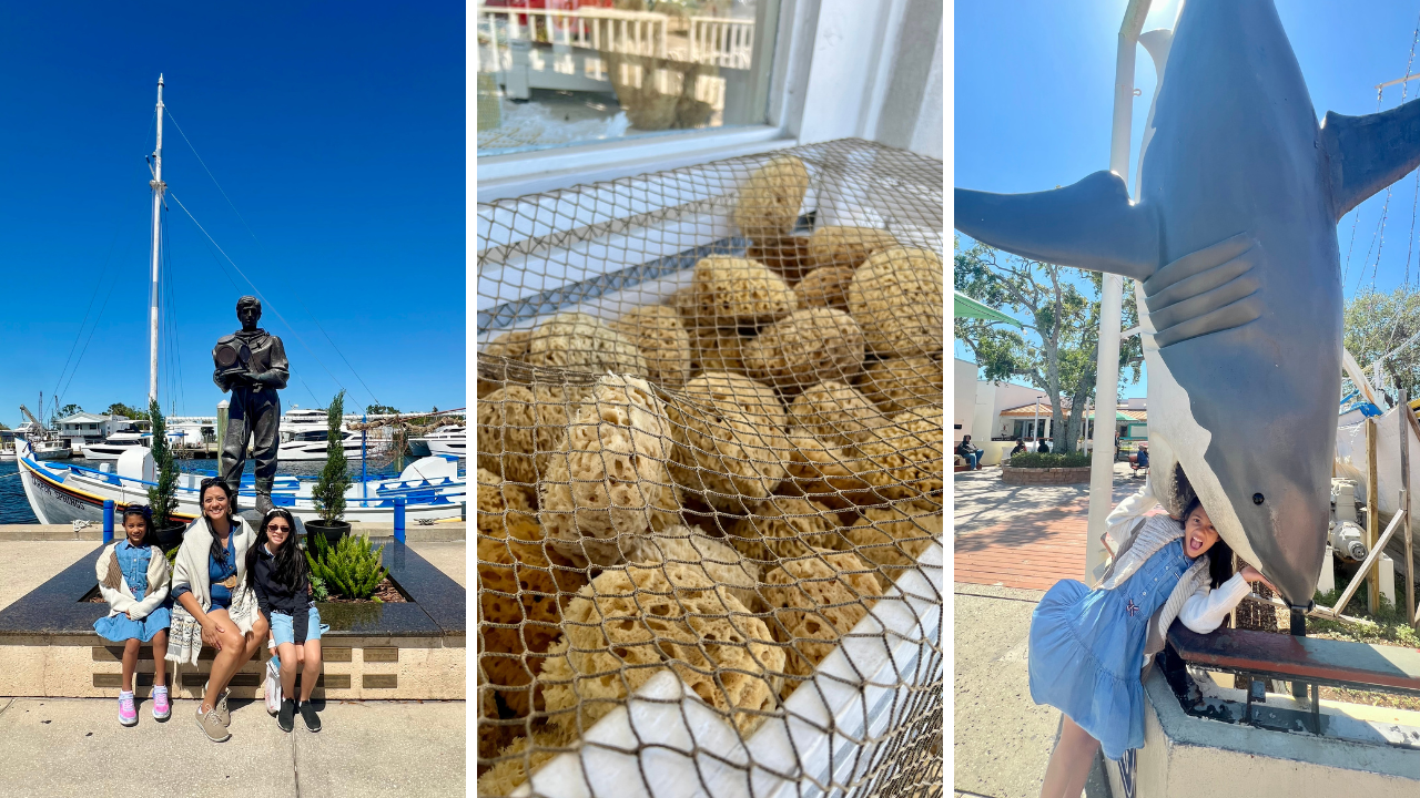 Free Guide to Tarpon Springs: Sponge Capital of the World